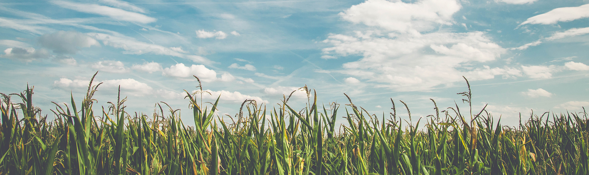 Further research in climate change adaptation | Ouranos