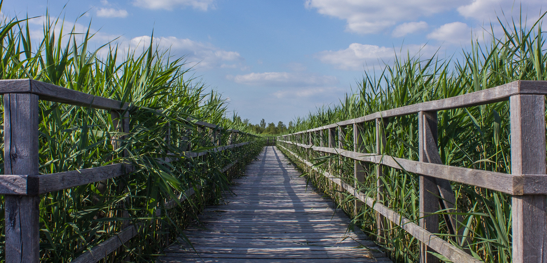 Ouranos receives nearly $5M in financial support from Government of ...