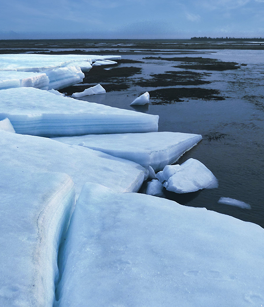Thawing permafrost | Ouranos