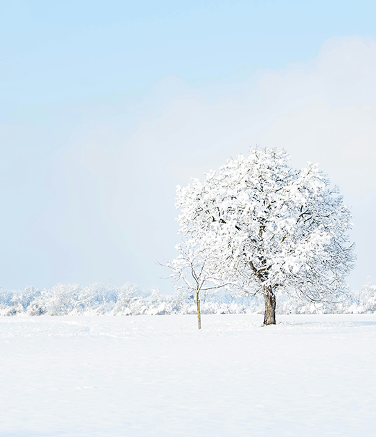 Extreme cold | Ouranos